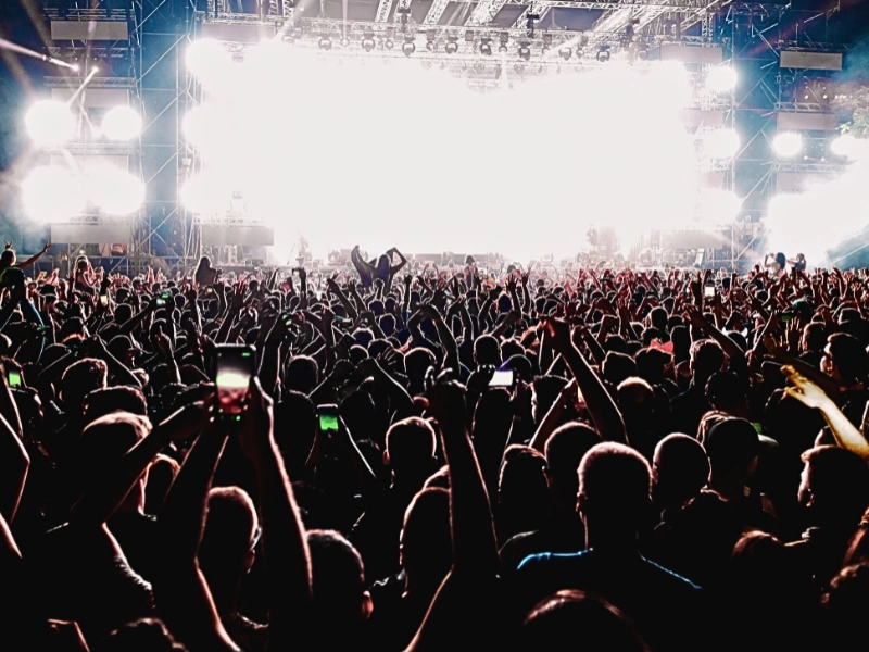 Bats at Concert Venue Put Patrons at Risk For Rabies Exposure | Lloyd ...